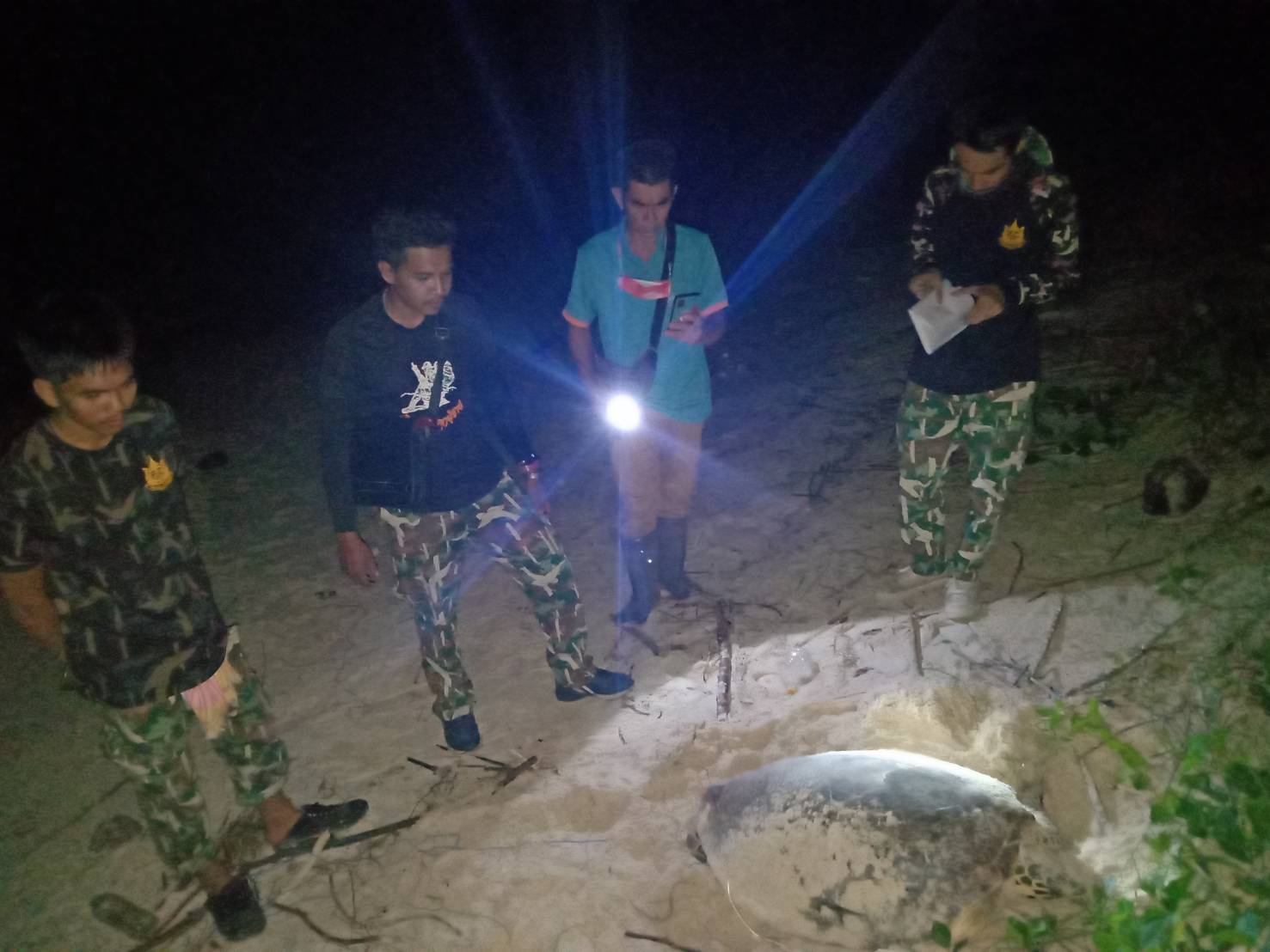 พรรคชาติไทยพัฒนา